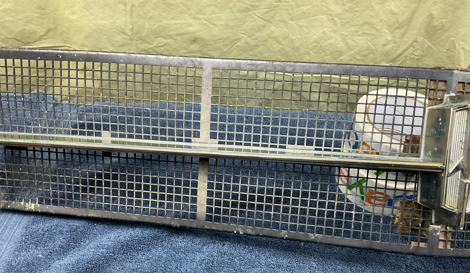 1967 67 Oldsmobile 442 Original Grille Assembly | eBay