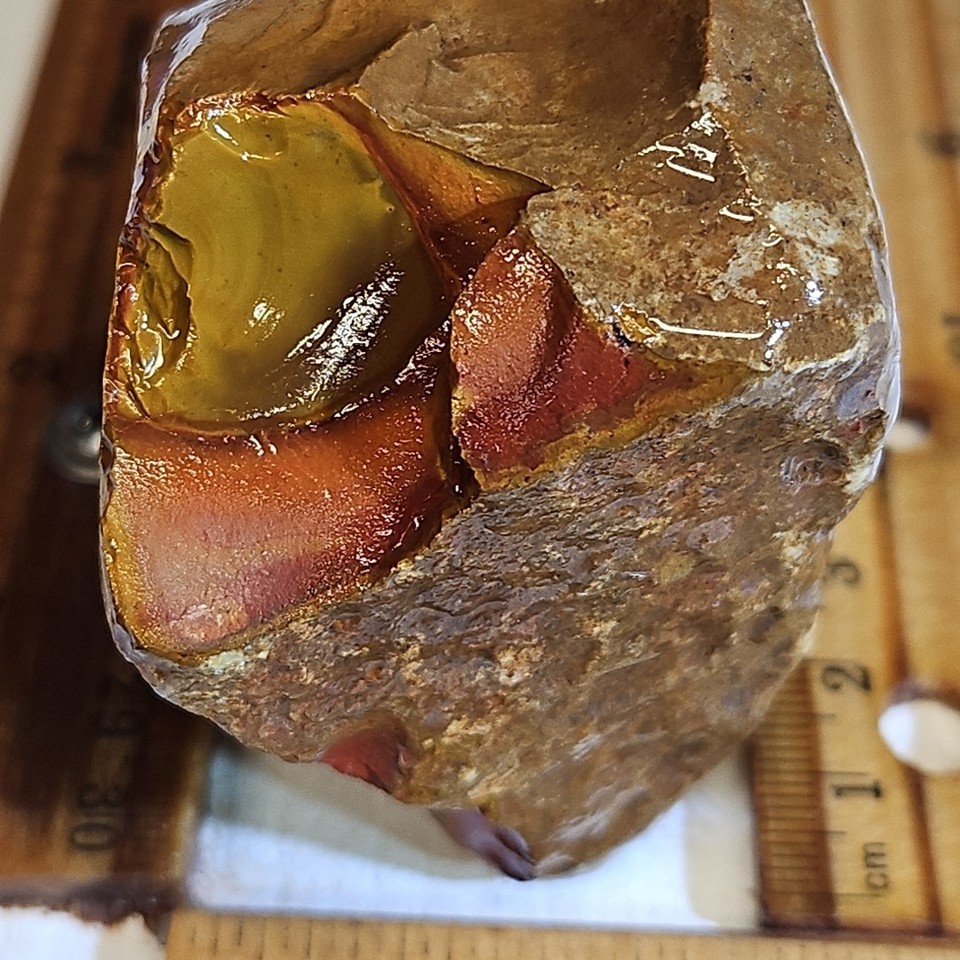 Polychrome jasper specimen rough, beautiful red gold & grey color. 13 ...