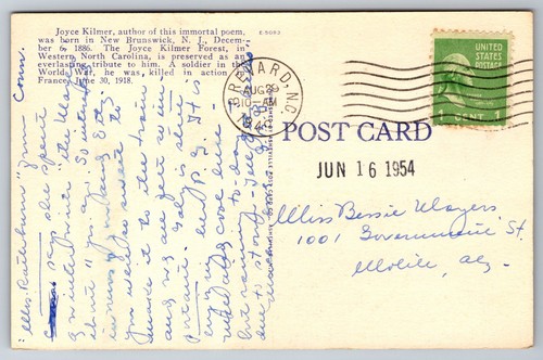 Vintage Joyce Kilmer Tree Poem Postcard by US Forest Service | eBay