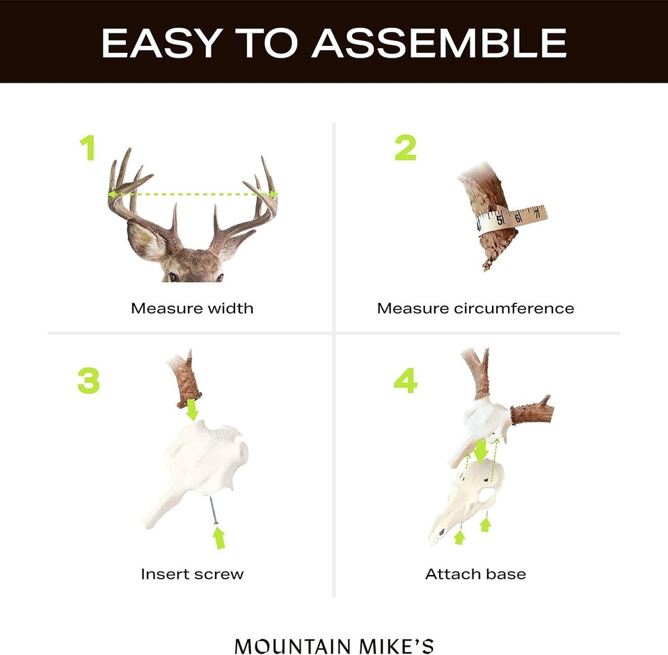 Skull Master White Deer Skull Euro Mount 3D Replica Taxidermy Antler ...