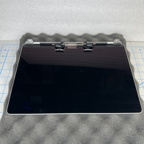 MacBook Pro A1989 A2159 A2289 A2251 Gray LCD Screen Assembly | eBay