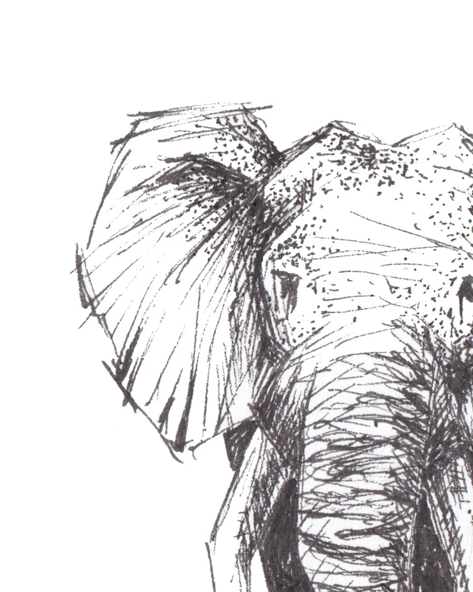 Pen And Ink Elephant