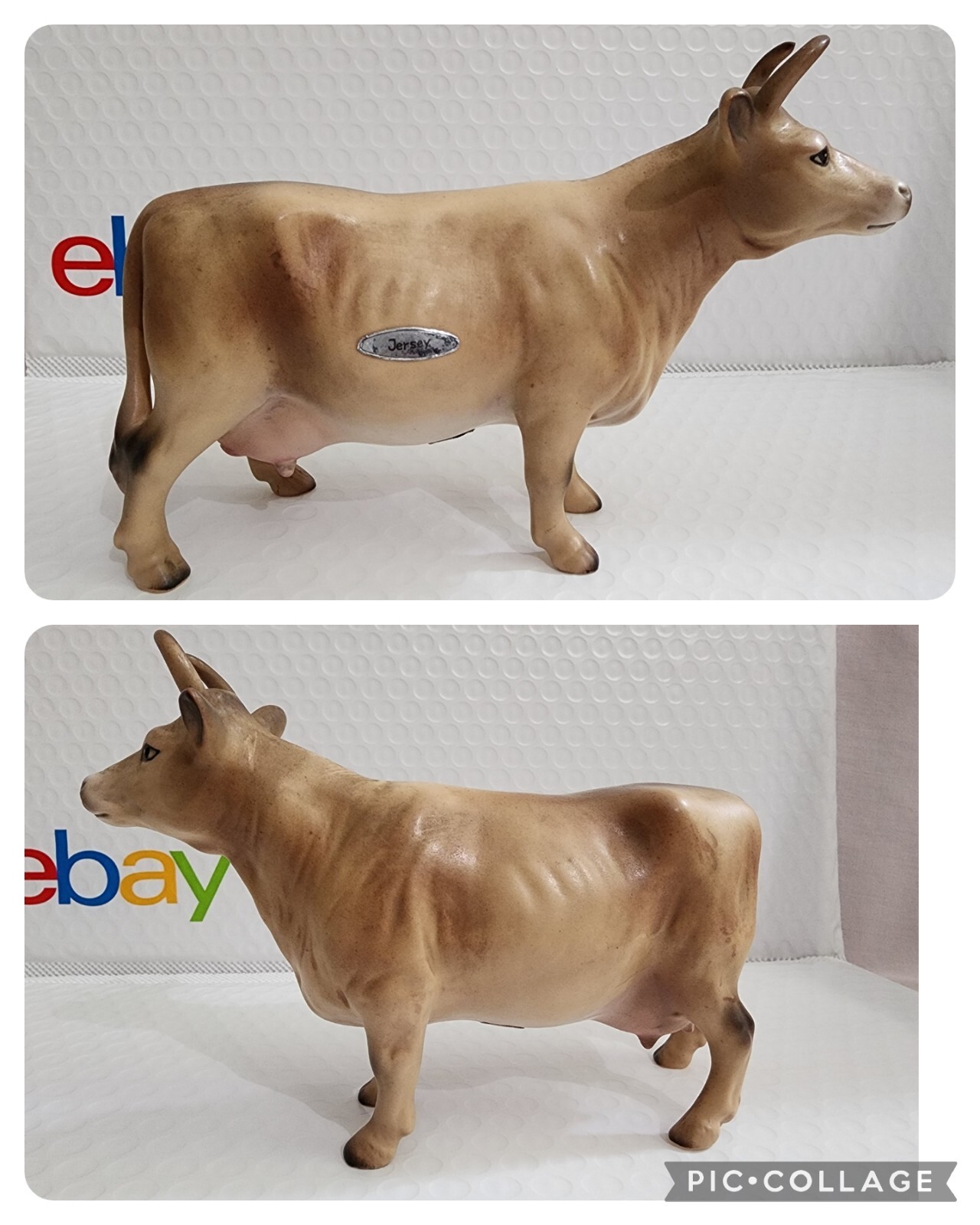 7 Lefton cattle cows - Angus Bull, Ayrshire, Jersey, Brahman, Hereford ...