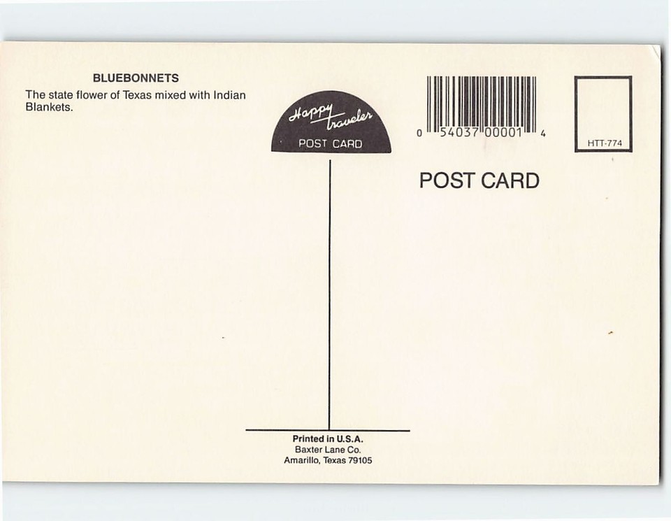 Postcard Bluebonnets Texas State Flower Texas USA | eBay UK