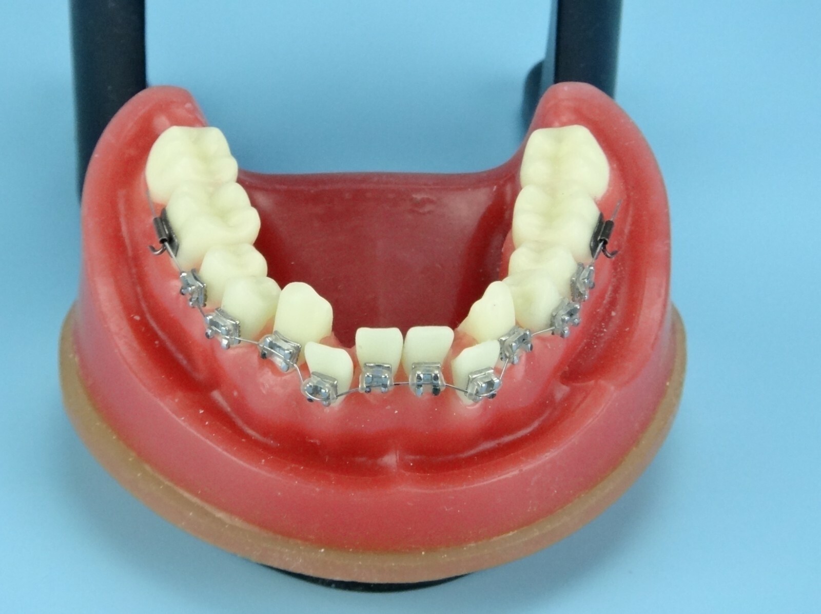 Reusable Dental typodont orthodontics model wax teeth training practice ...