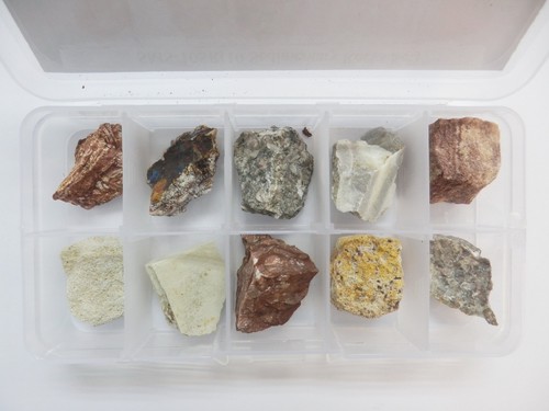 10 Sedimentary Rock Plastic Box Set Stone Specimen Learning Aid MS10SR ...