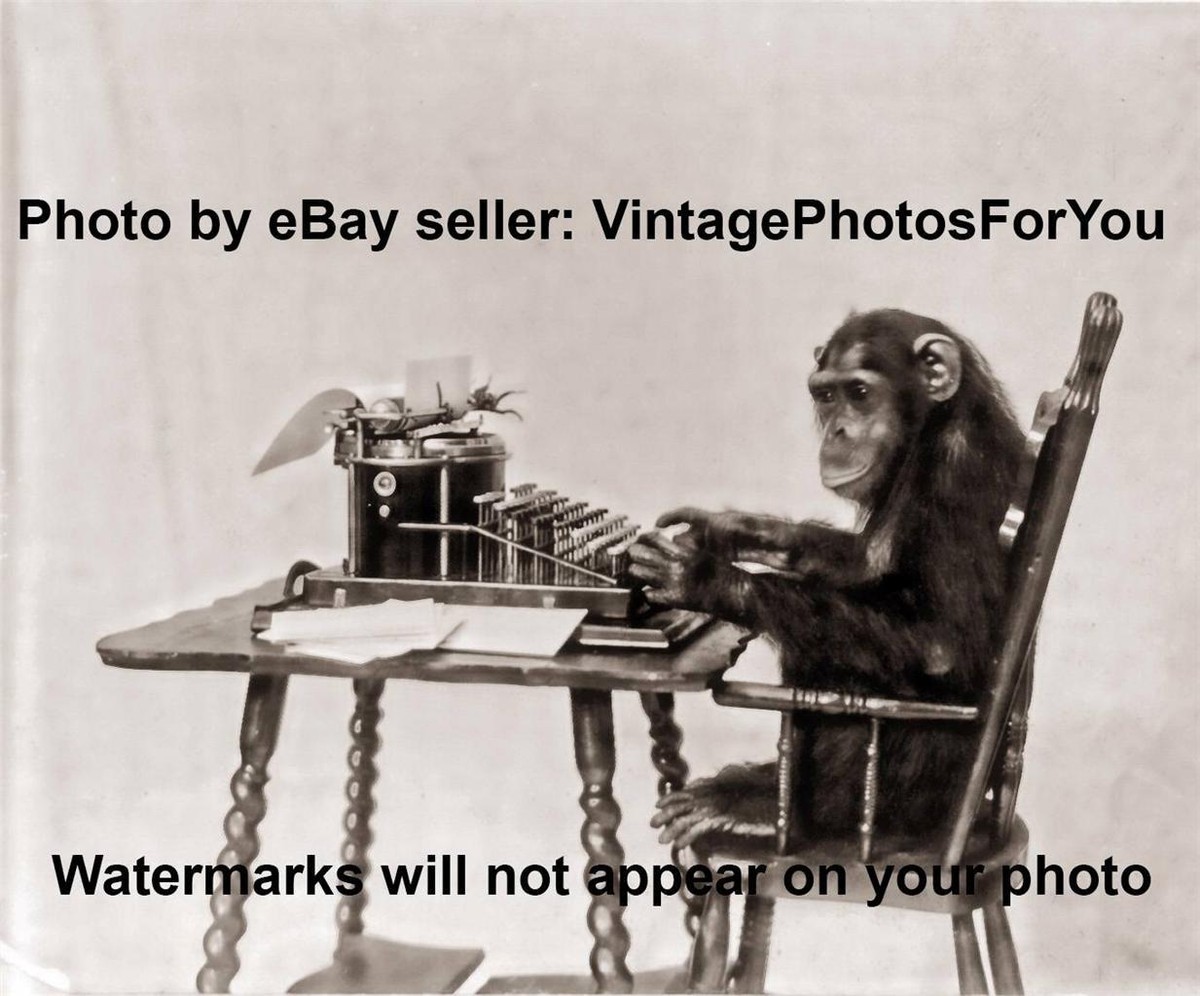 Chimp Typewriter