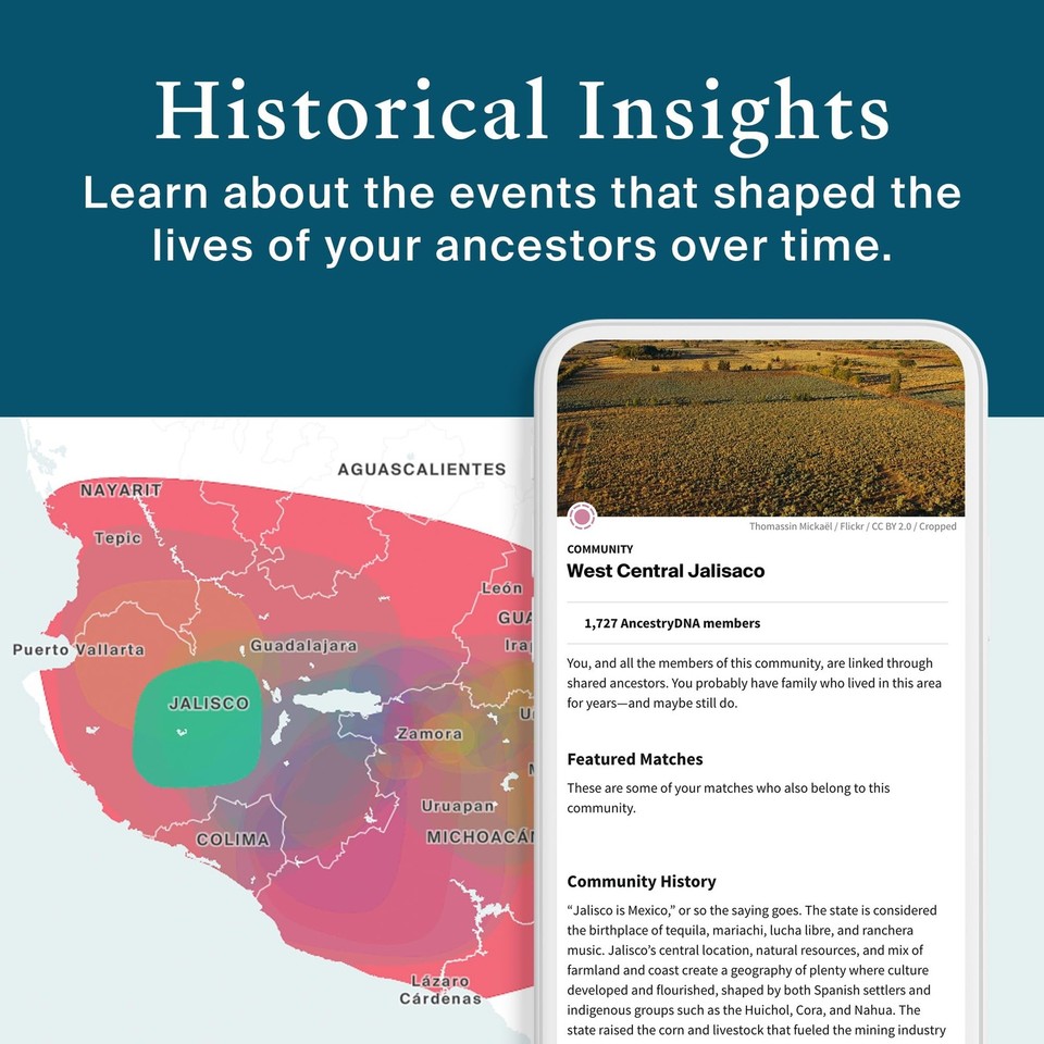 AncestryDNA Genetic Test Kit: Personalized Genetic Results, DNA ...