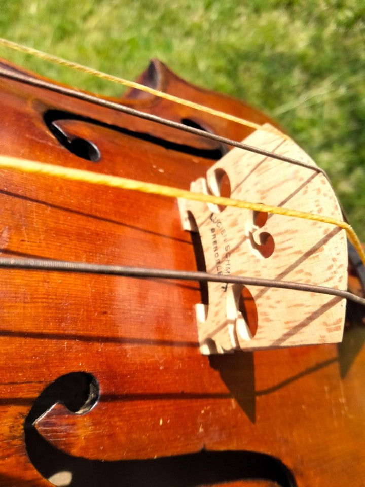 German viola alto 4/4 18th by Johann GUTTER | eBay