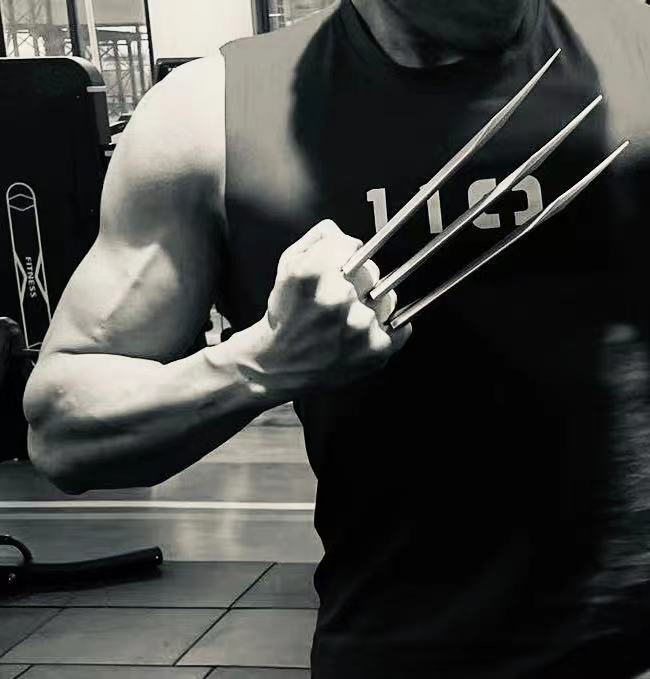 Wolverine Costume Jumpsuit + ABS Plastic Claws Paws Props For Halloween ...