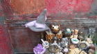 Lot Miniature witch accessories Halloween diorama Haunted miniatures ...