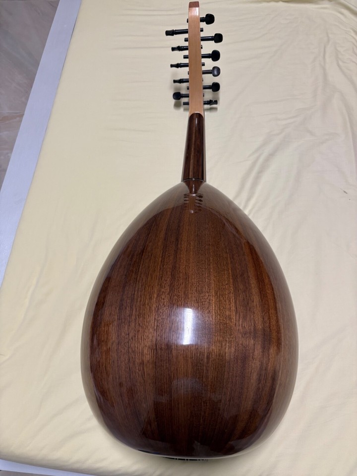 Professional oud instrument | eBay