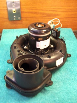 Motors - Carrier Inducer Motor