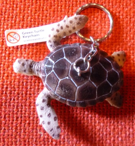 GREEN TURTLE AUSTRALIAN ANIMAL SOUVENIR GIFT KEYCHAIN KEY RING PACK of ...