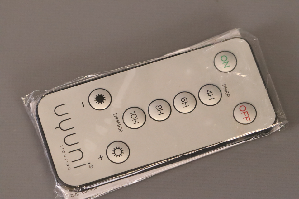 Raz Imports Multi Function Remote Control (4034520) | eBay