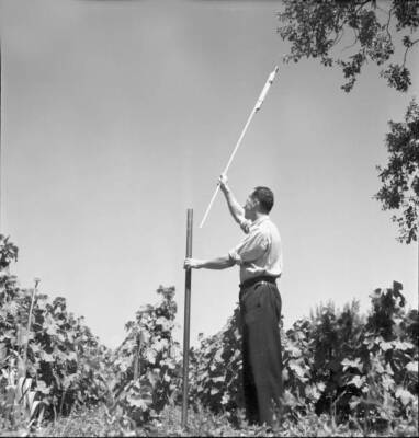 Man with anti hail rockets 1951 Switzerland Old Historic Photo 2 | eBay ...