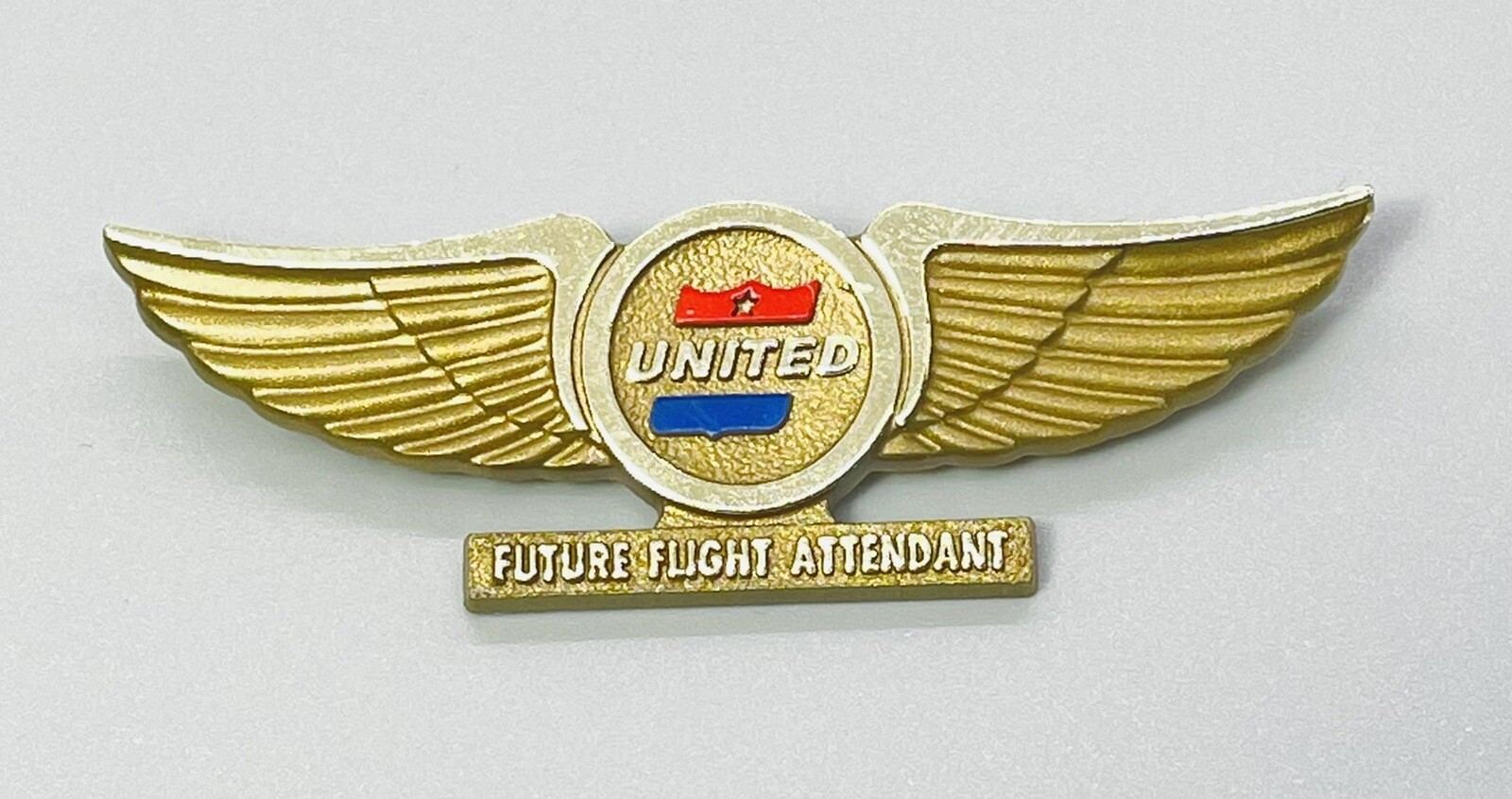 Flying Wings Pin