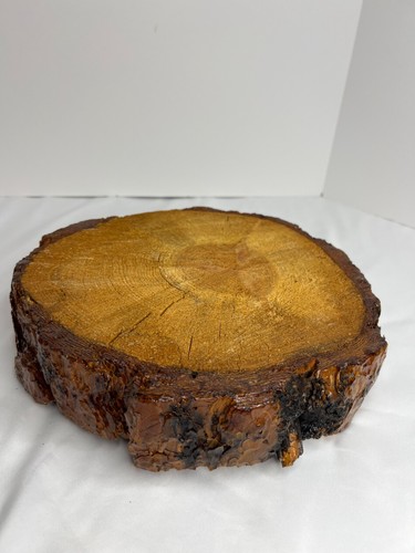 Large Unfinished Wood Slices 10” X 3" Wood Rounds with Tree Bark, Live ...