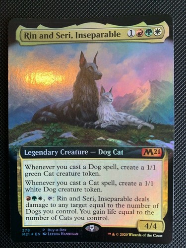 Rin and Seri, Inseparable - Extended Art Foil - Core Set 2021 MTG ...