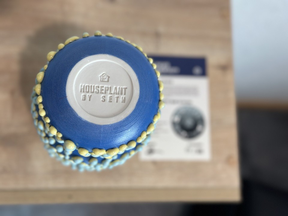 Houseplant Gloopy Vase by Seth Rogen Limited Edition /185 HAND SIGNED ...