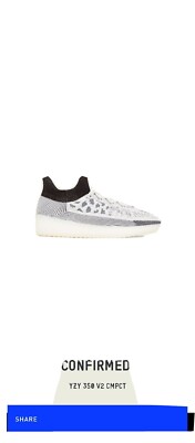 adidas Yeezy 350 v2 CMPCT Slate White(Panda) size 10.5 | eBay