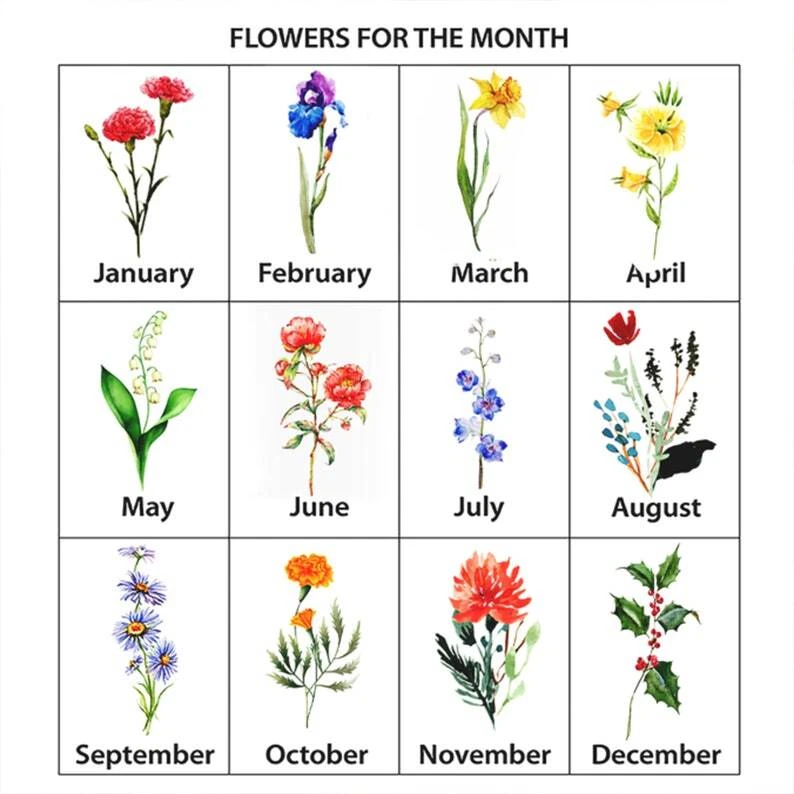 August Month Flower Name