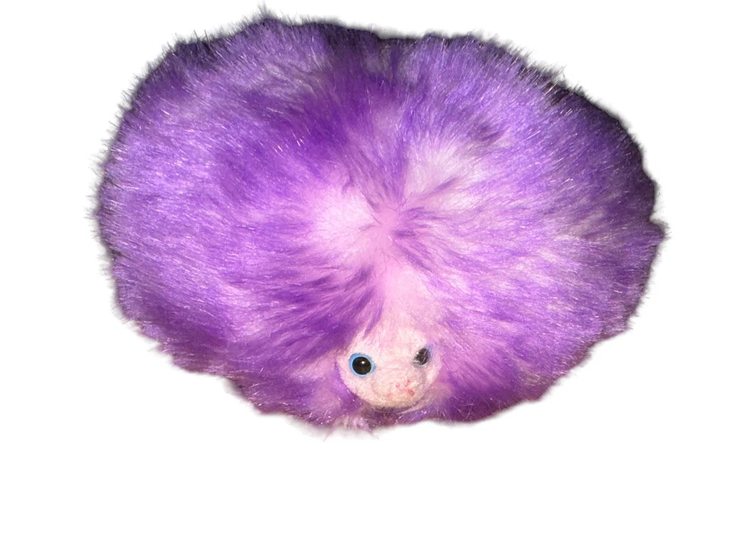 Purple Pygmy Puff