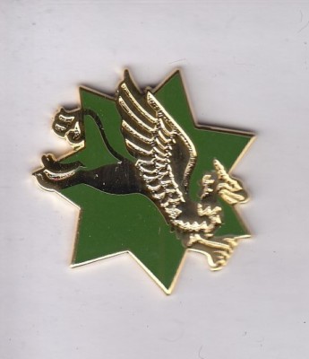 US ARMY 496th MILITARY POLICE BATTALION MP crest DUI badge c/b NSM | eBay