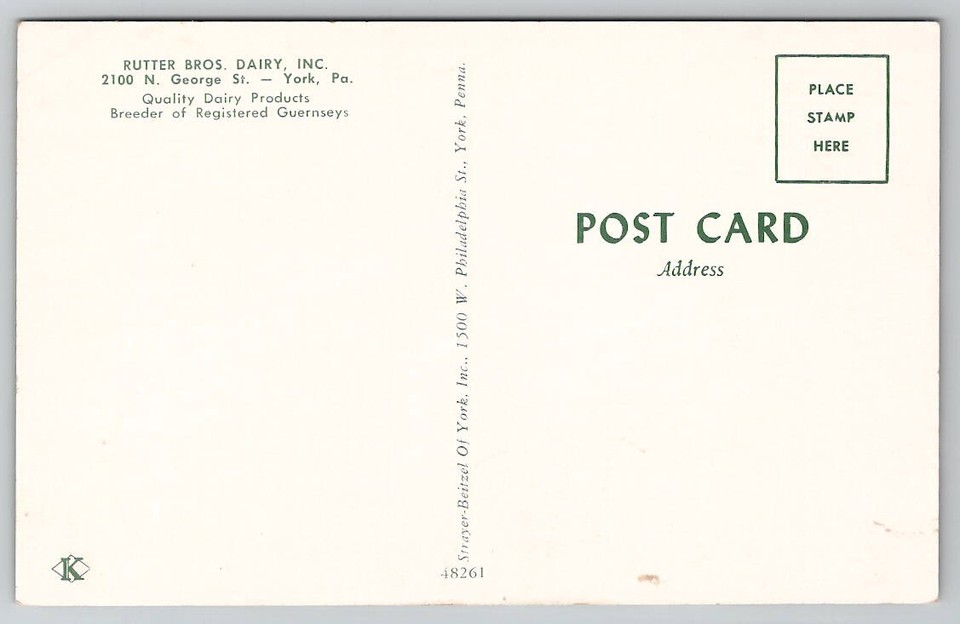 York PA Rutter Bros Dairy Aerial View N George Street Postcard W23 | eBay