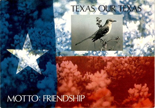 Texas, Friendship, Bluebonnet, Mockingbird, Pecan, Sideoats Gram ...