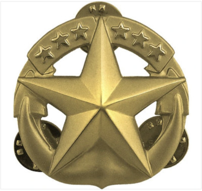 GENUINE U.S. NAVY BADGE: COMMAND AT SEA - REGULATION SIZE | eBay