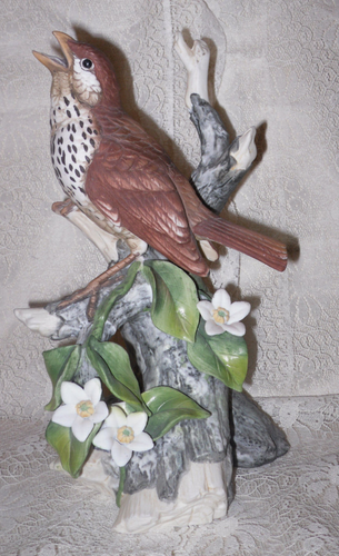 Vtg Andrea by Sadek WOOD THRUSH Porcelain Bird Figurine 8405 9-1/2 ...