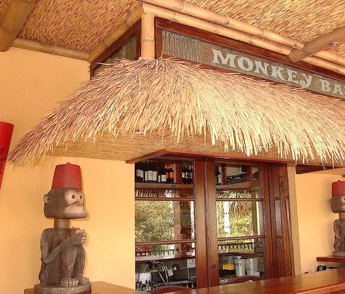 Tiki Bar Huts Boat Roofing Mexican Straw Roof Thatch Palm Rolls Duck ...