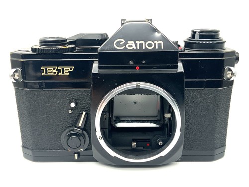 Canon EF 35Mm SLR Analog Semi-Pro Camera Body (Canon EF) | eBay