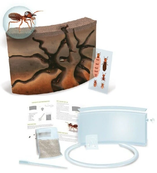 Homemade Ant Farms