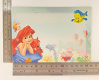 Ariel Flounder The Little Mermaid Disney Fan Limited Envelope Sea Shell ...