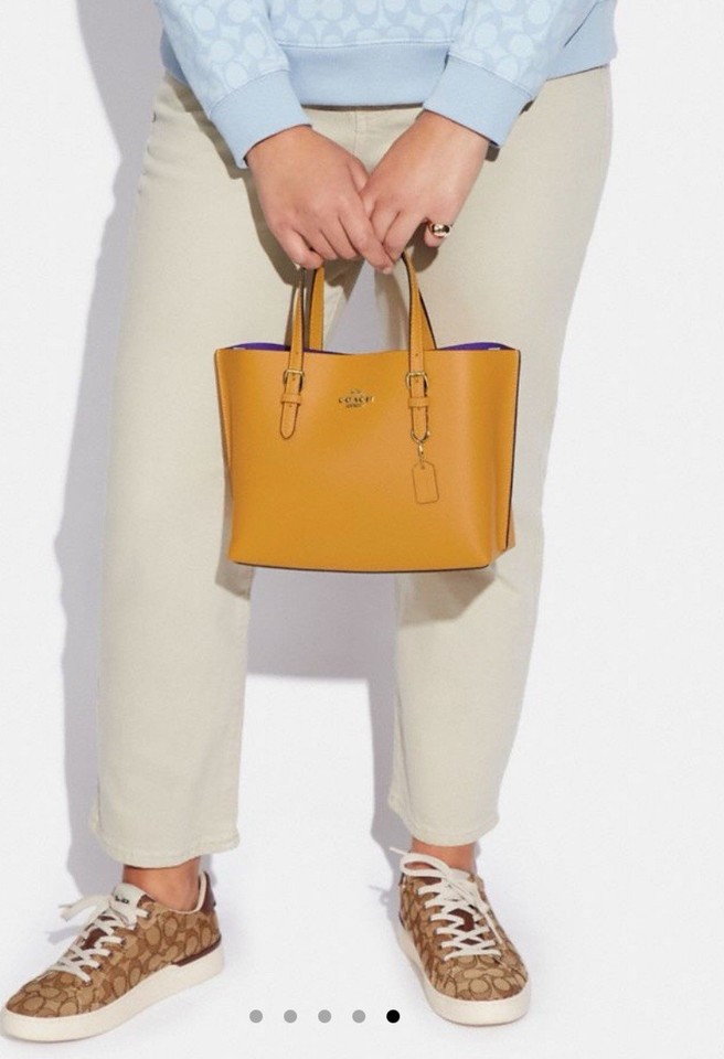NWT Coach C4084 Mollie Tote 25 Crossbody Bag Double Face Leather ...