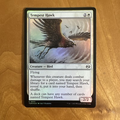 FOIL Tempest Hawk - Magic the Gathering (Tarkir Dragonstorm) MTG TDM | eBay