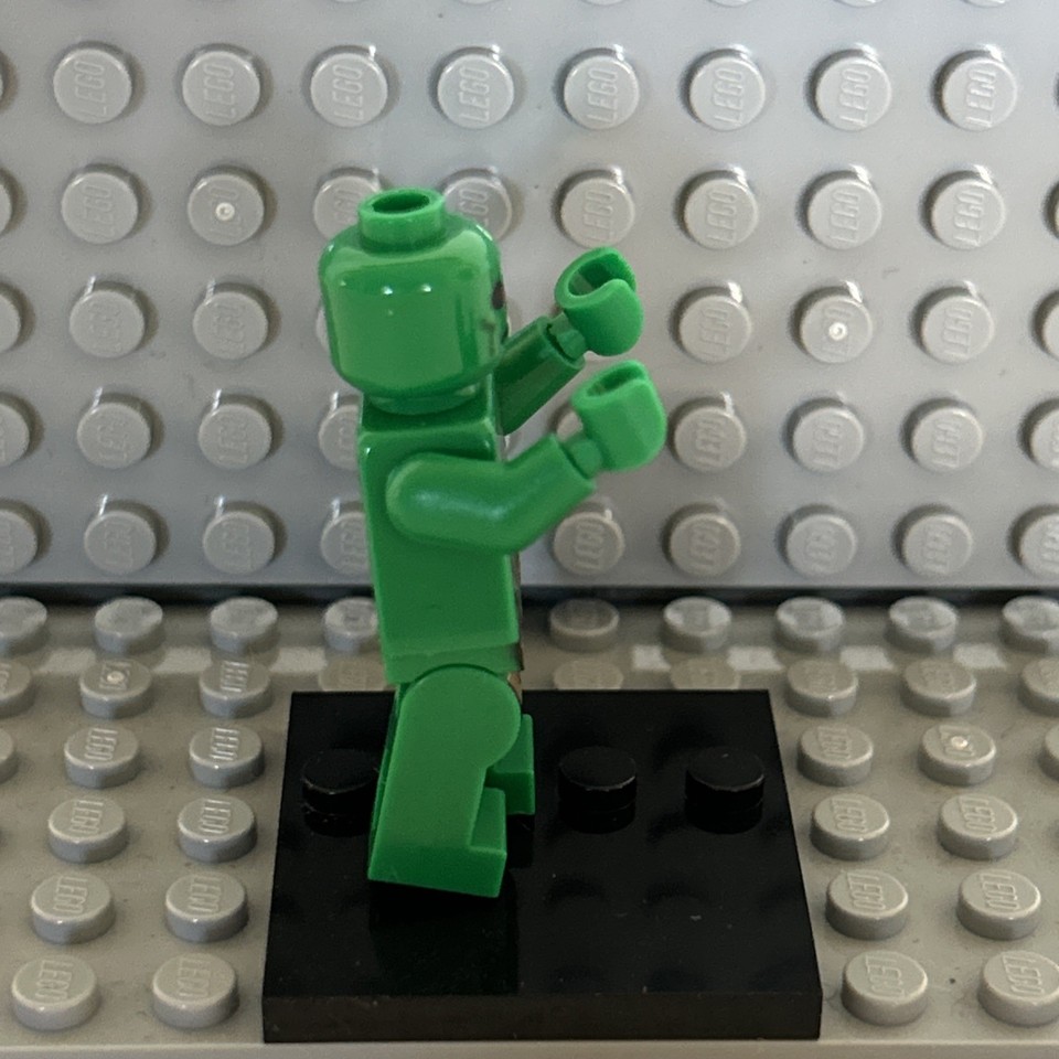 Lego Batman Video Game Custom Poison Ivy Goon Minifigure | eBay