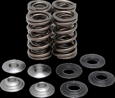 KW Intake Exhaust Valve Spring Kit for Yamaha Raptor 700 13-16 | eBay
