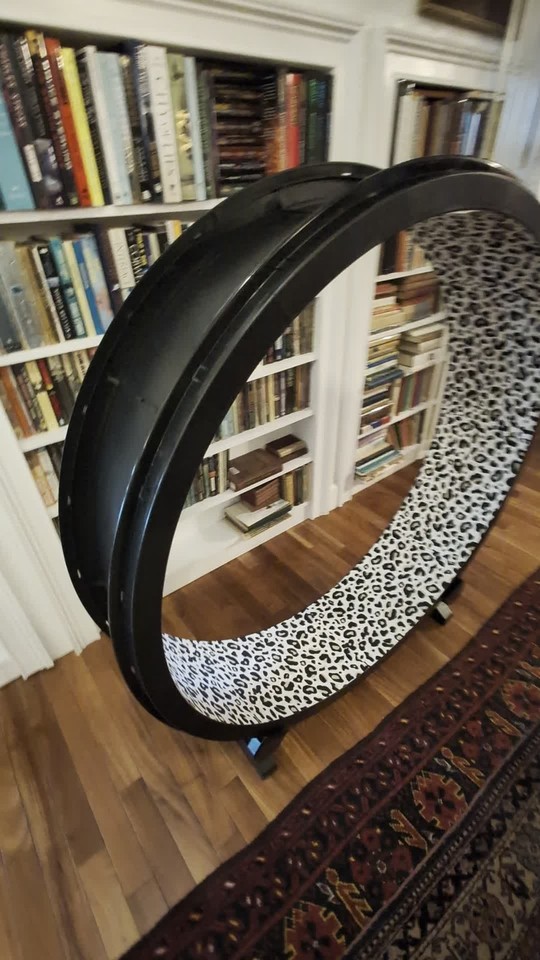 One Fast Cat Exercise Wheel - Gen 7 - 48" Diameter - Made in the US | eBay