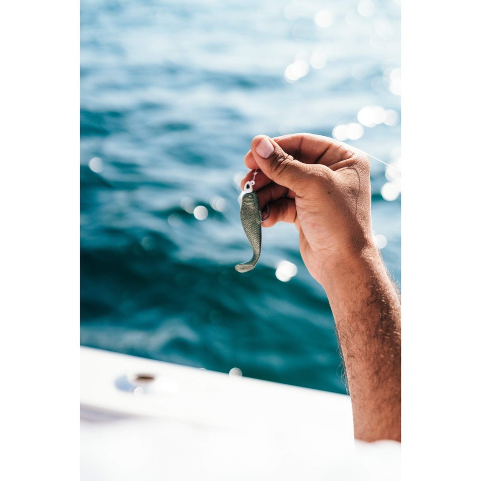 Gulp! Saltwater Pogy Anchovy 3in | 8cm | eBay