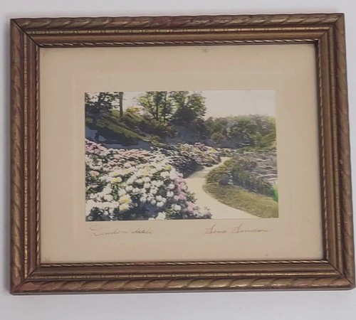 Colored Nature Photo Print "Diadem Aisle" Signed Original Label David Davidson | eBay