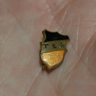 Nice Vintage Epsilon Sigma Alpha Fraternity Sorority Greek Small Lapel ...