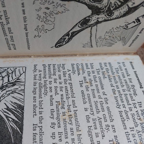 Vintage Book News Chronicle Children's Everything Within | eBay