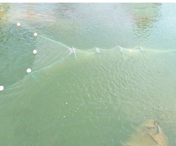 White Nylon Fishing Net Shrimp Cage Chain PVC Floats River Pond Fish ...