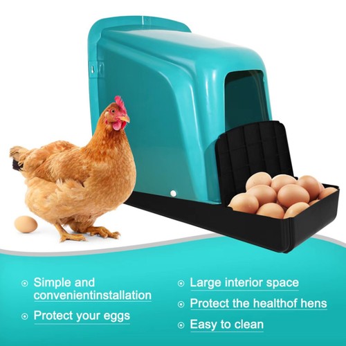 Nesting Boxes, Chicken Nesting Box, Chicken Nesting Box for Laying Eggs ...