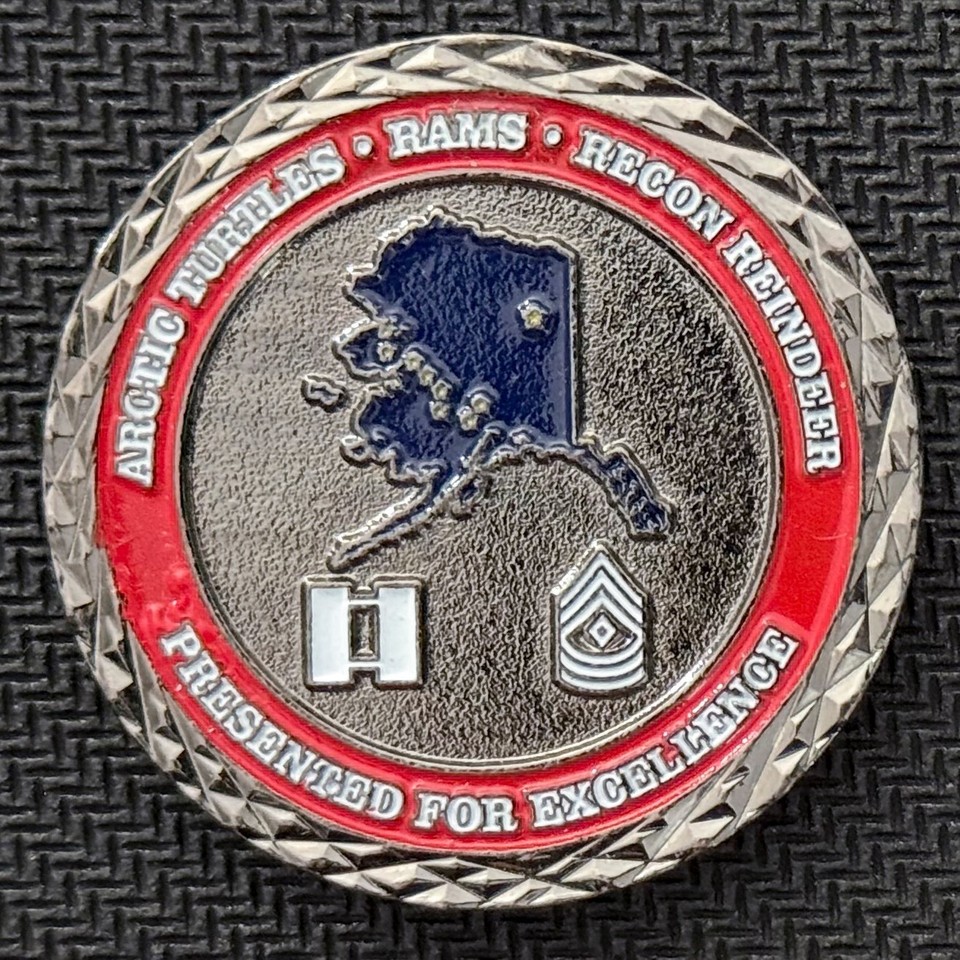 Alpha Company 70th BEB Arctic Sapper Excellence Challenge Coin _G | eBay