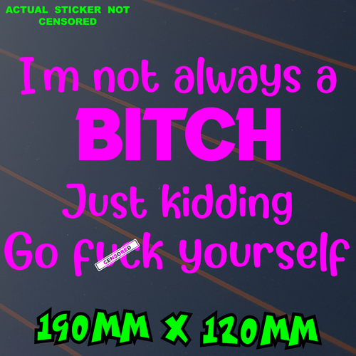 Bitch Sticker Car Decal Window JDM BNS Funny Girls Not Always Pink 4x4 ...