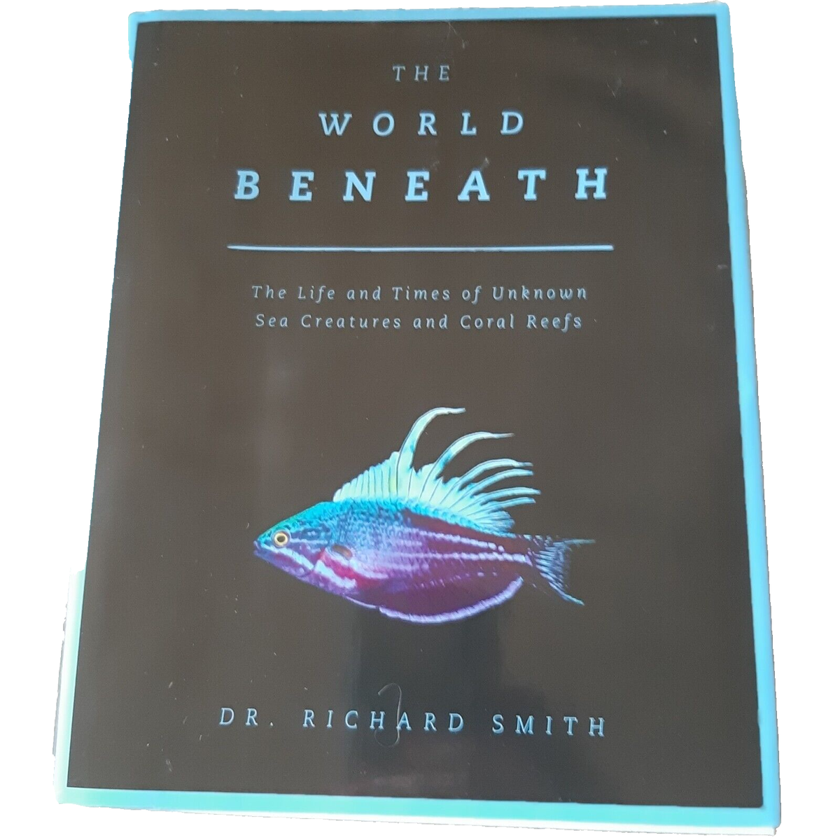 Unknown Creatures Of The World 9 Strange Deep Sea Creatures You Want